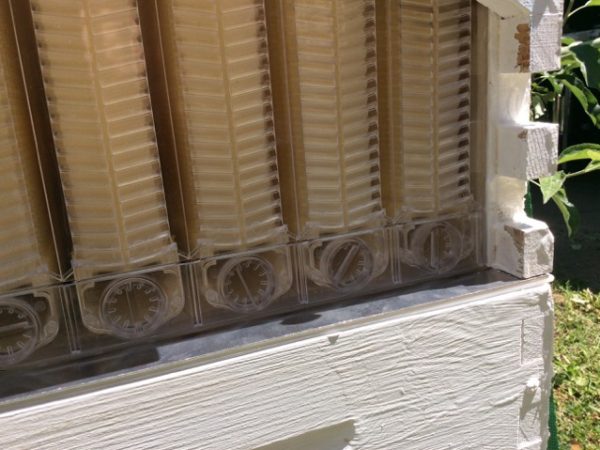 Art & Science of Beekeeping - Bindaree Bee Supplies