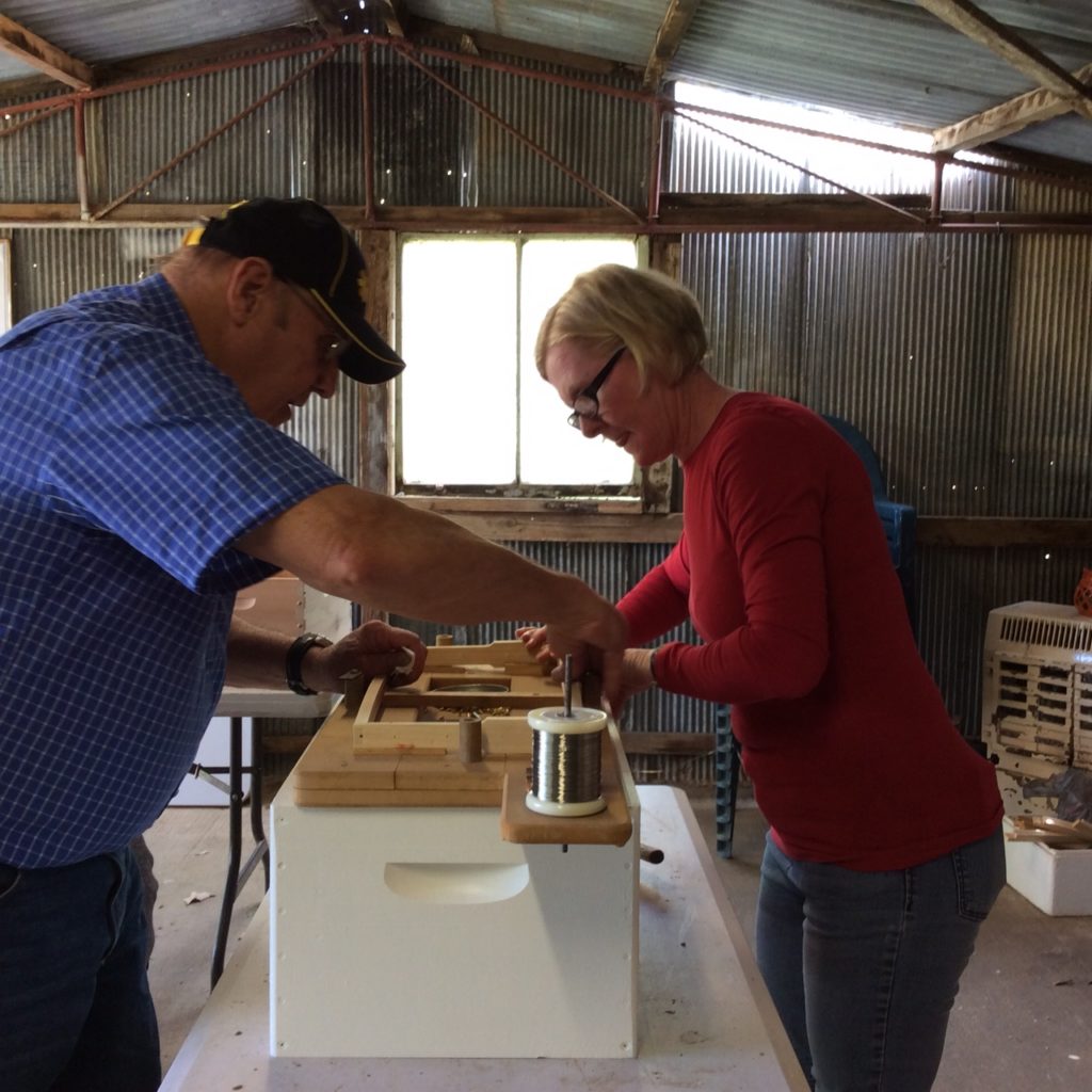 Bee Colonies and Hive Packages Archives - Bindaree Bee Supplies